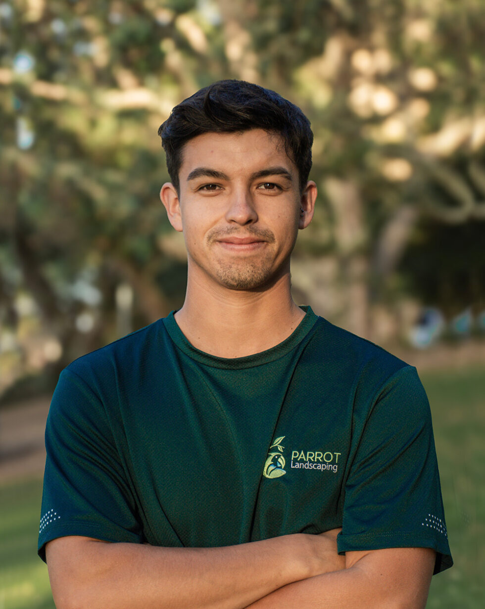 Parrot Landscaping Team